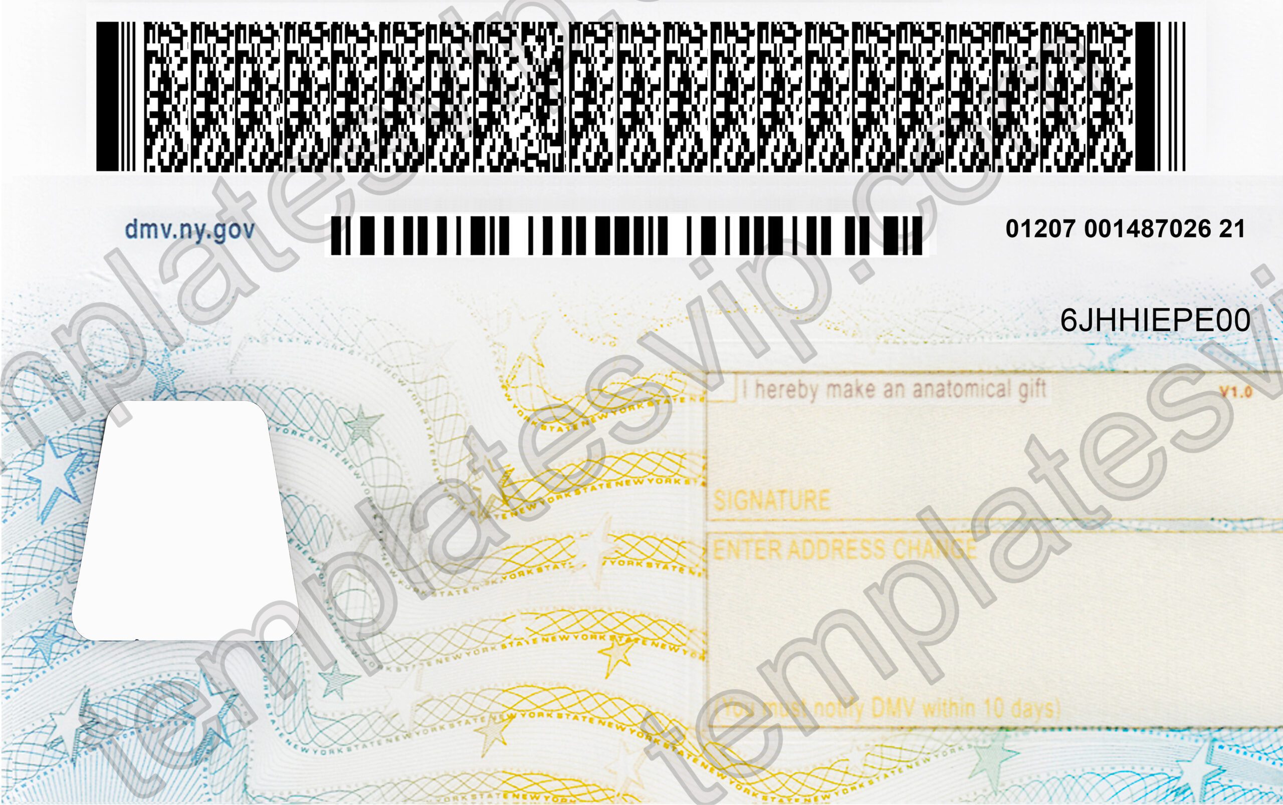 New York NY Driver s License PSD Template Download Templates Drivers Licenses Premium