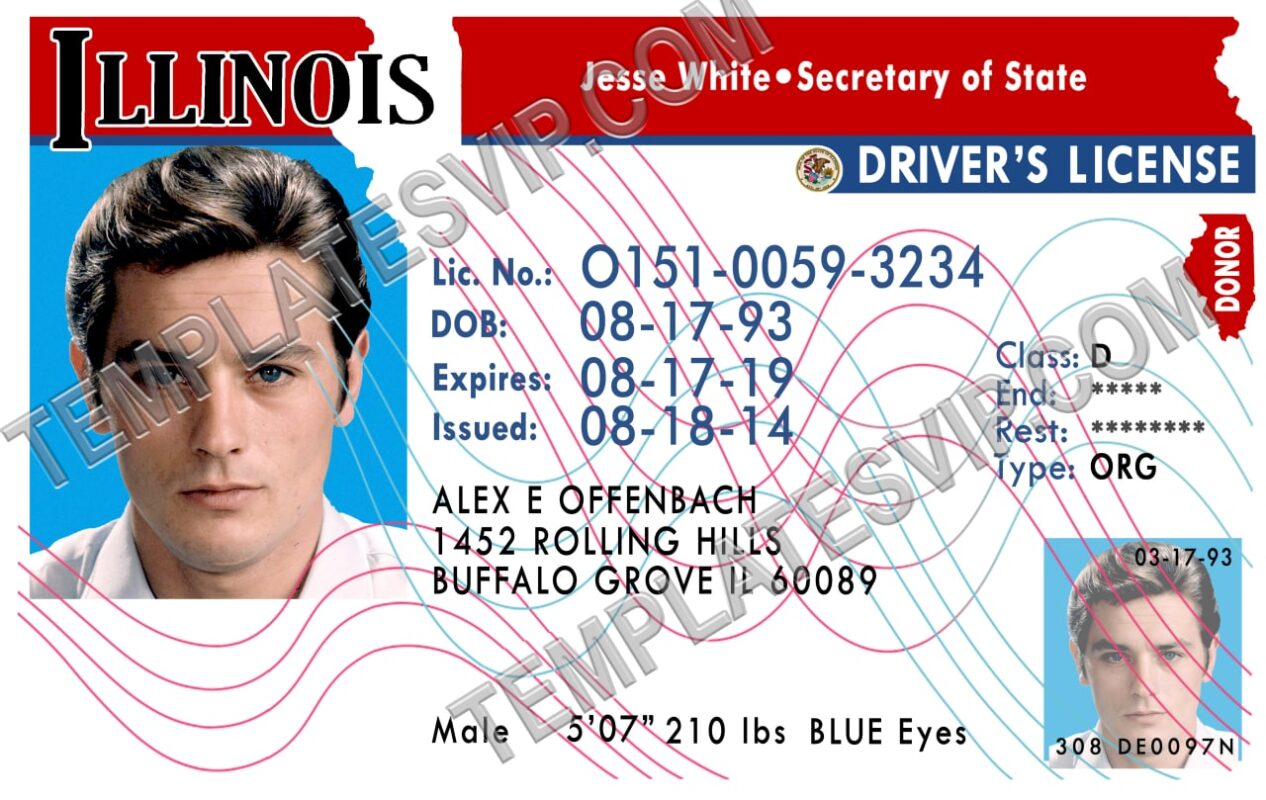 Illinois Driver License Template In Psd Format Fakedo Vrogue co