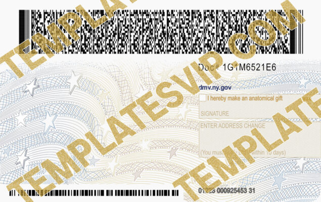 New York Ny Drivers License Psd Template Download 2023 V3 Uv Layer 2400dpi Templates 